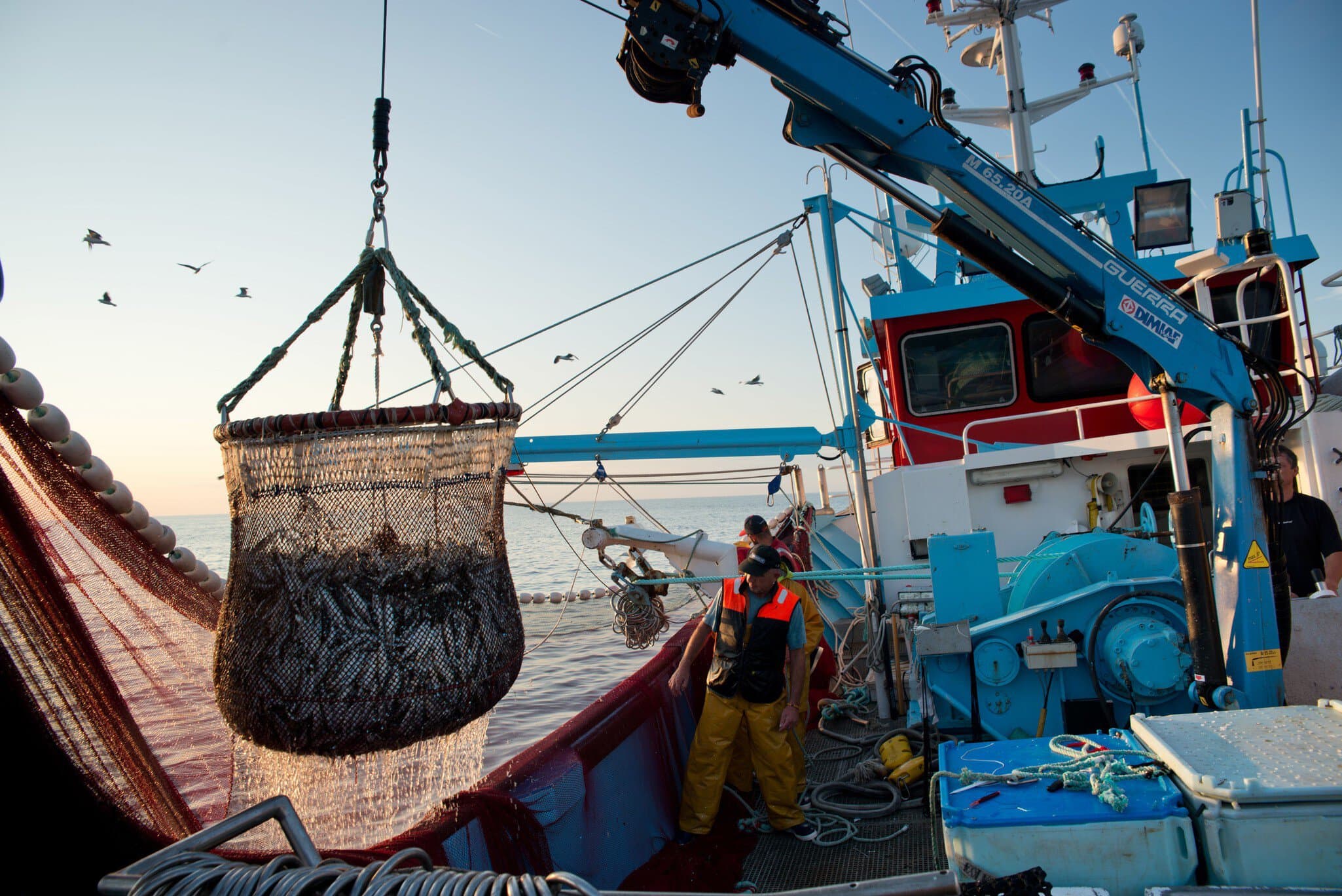 IPF 2024: Sustainable Ocean Management | Offshore Wind & Environmental ...